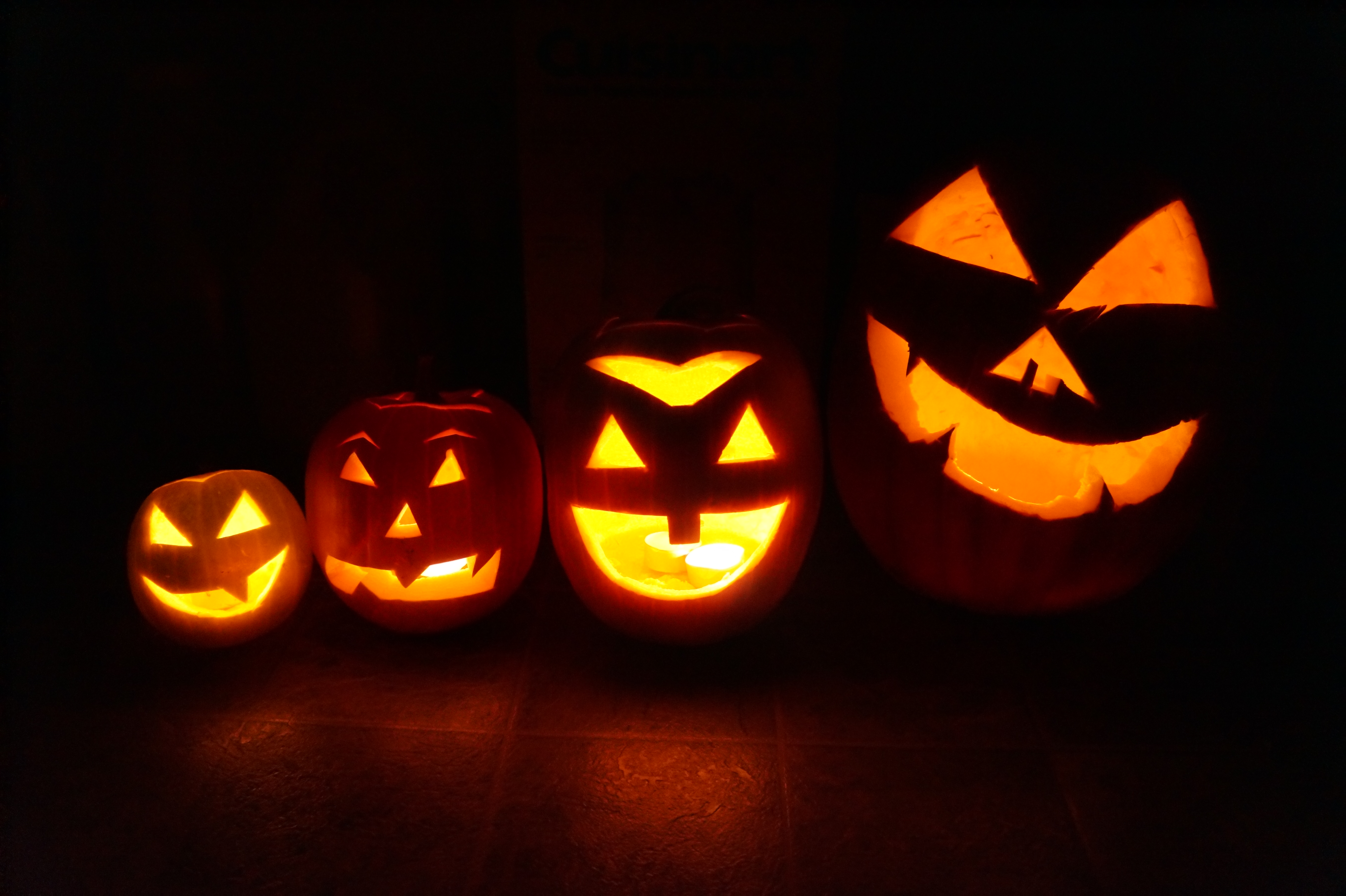 2015 - Beth's pumpkin: Ellie
